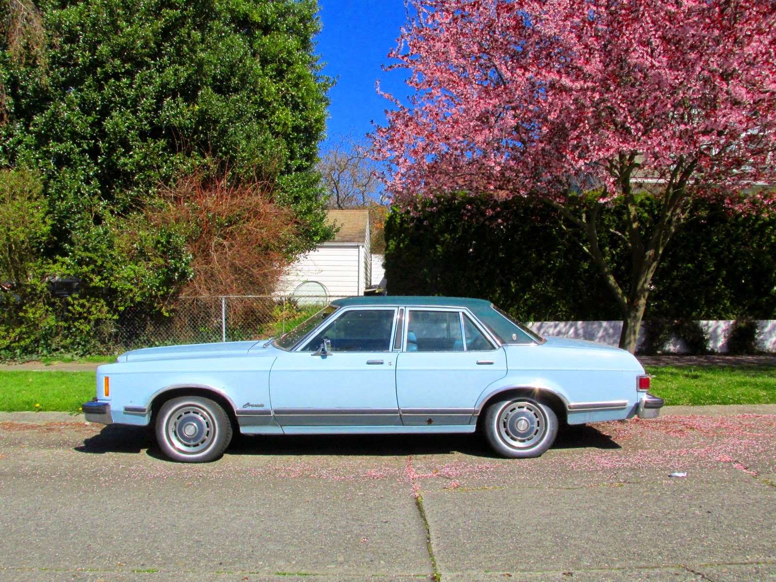 Seattle's Classics: 1978 Ford Granada