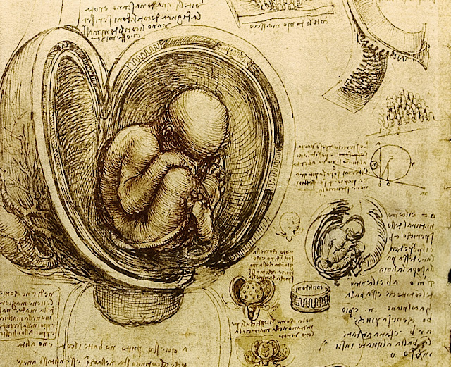 Intelliblog: ART SUNDAY - LEONARDO DA VINCI