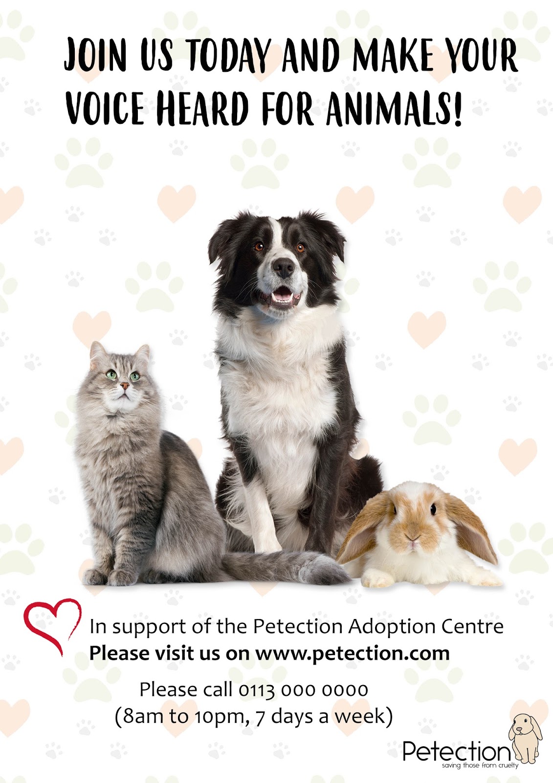 STUDIO PRACTICE : Animal's Rights/ Leaflet Design