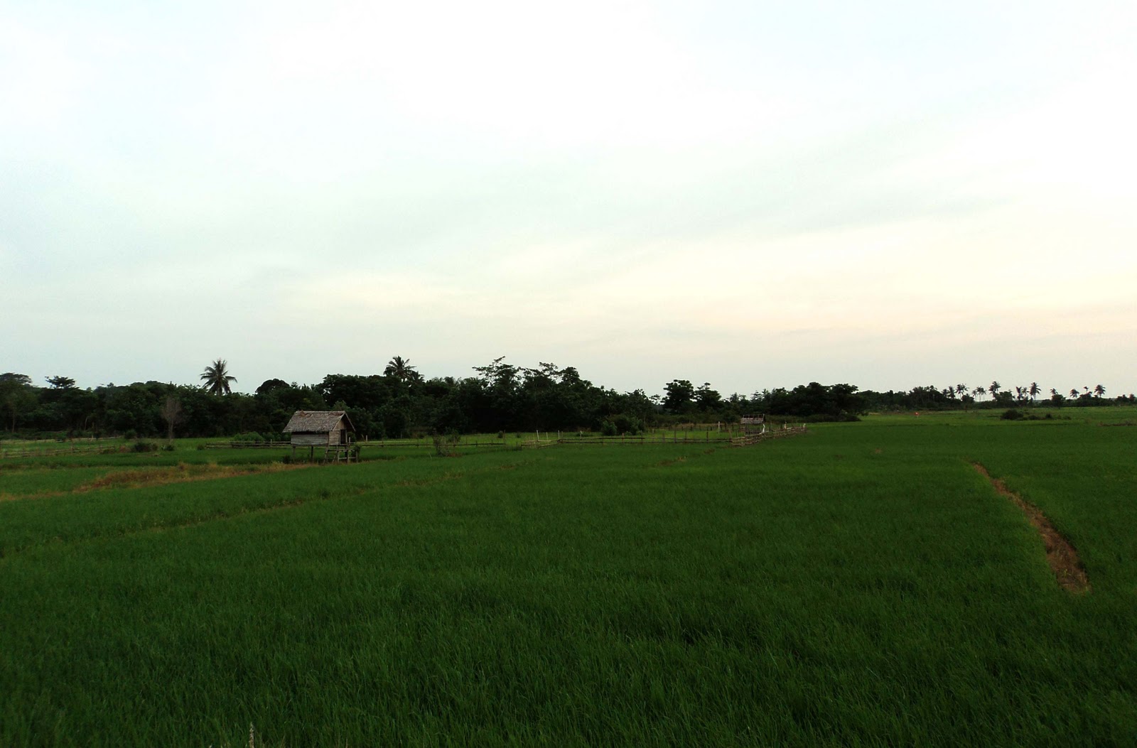 Pelaihari Ulun: Pesona Keindahan Menuju dan di Pantai Batakan Pelaihari