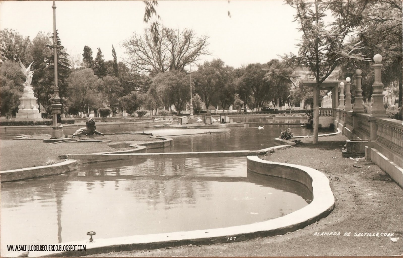 SALTILLO DEL RECUERDO: LA ALAMEDA 1940, SALTILLO...!!!