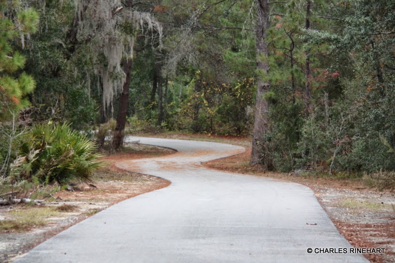The Cross Florida Greenway In Ocala Florida