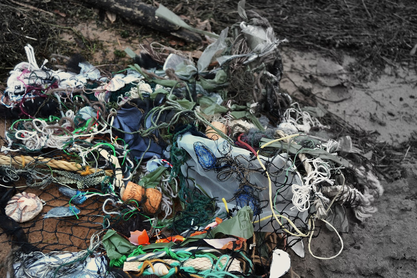 Hannah Cottrell Mixed Media Art and Photography