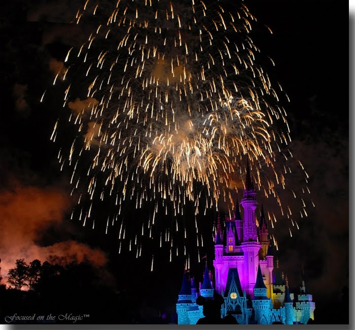 Capturing Wishes in The Magic Kingdom ~ Tips and Tricks | Focused on ...