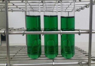 Media Brillian Green Lactose Broth (BGLB) ~ Medical Laboratory Technologist