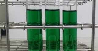 Media Brillian Green Lactose Broth (BGLB) ~ Medical Laboratory Technologist