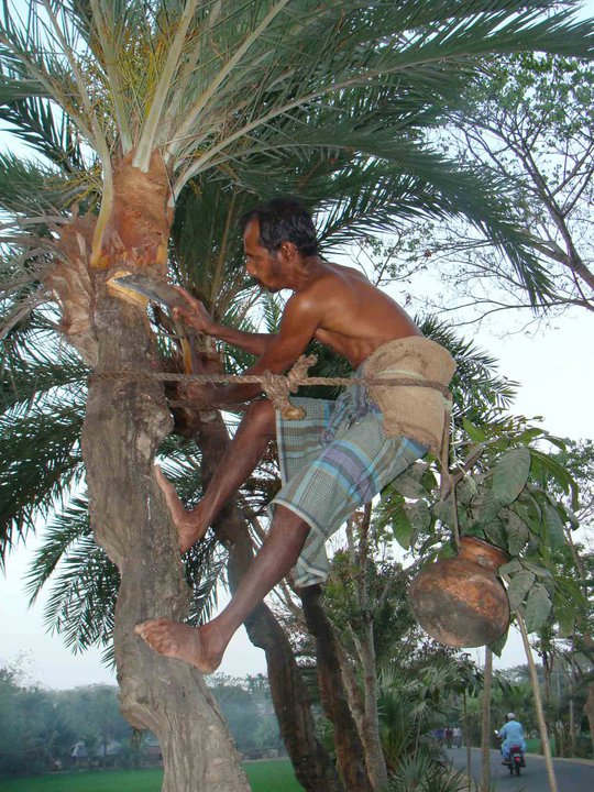 BD Gallory: metho poth khejur gas