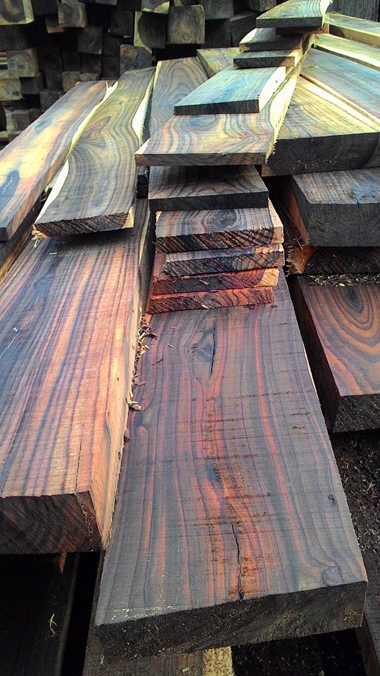 Kayu Sonokeling - DUTA RIMBA INDONESIA