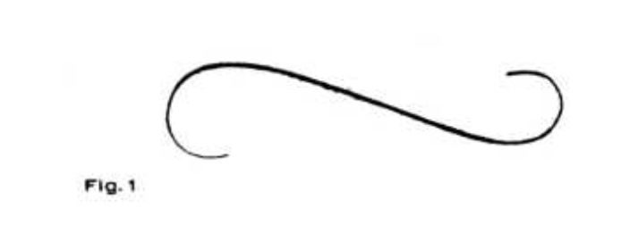 Drawing : Signs of life in flowing line drawings