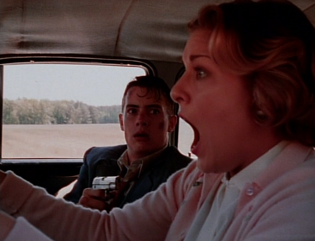 Lost in the Movies: Sheryl Lee: illustrated filmography