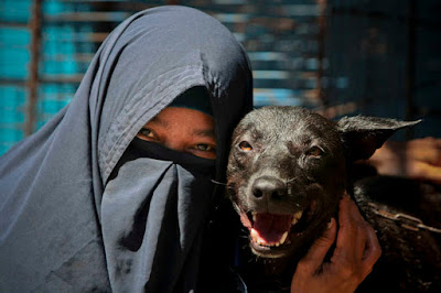Are Dogs Halal? : Why are Dogs Haram in Islam?