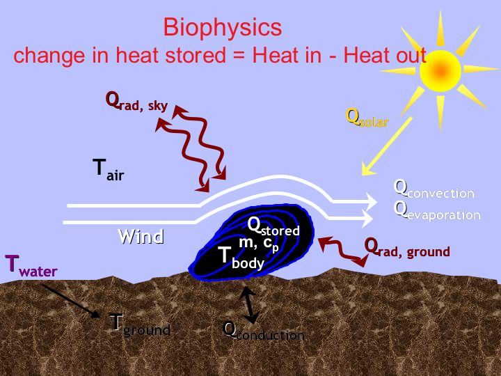 Biofisika Lingkungan - BIOFISIKA LINGKUNGAN