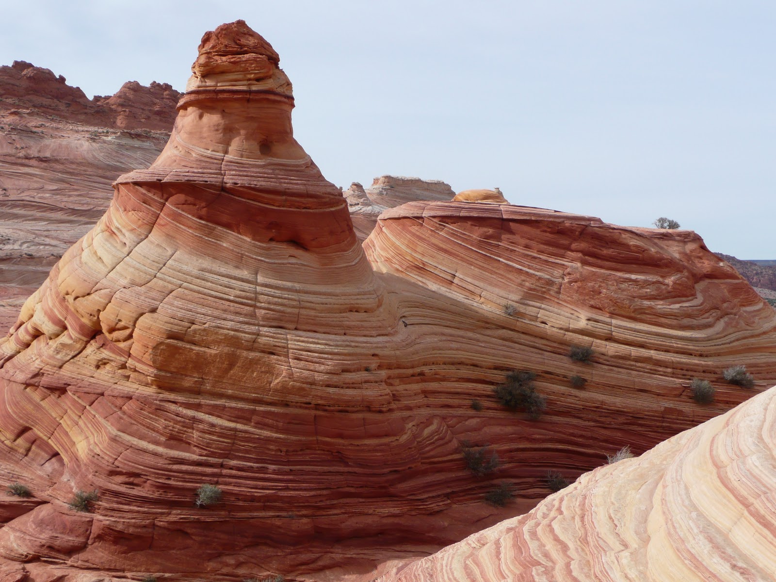 Life at 55 mph: The Wave in Coyote Buttes, Marble Canyon on the Utah ...