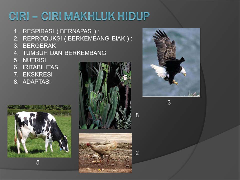 CIRI - CIRI MAKHLUK HIDUP | BIOLOGI STPC
