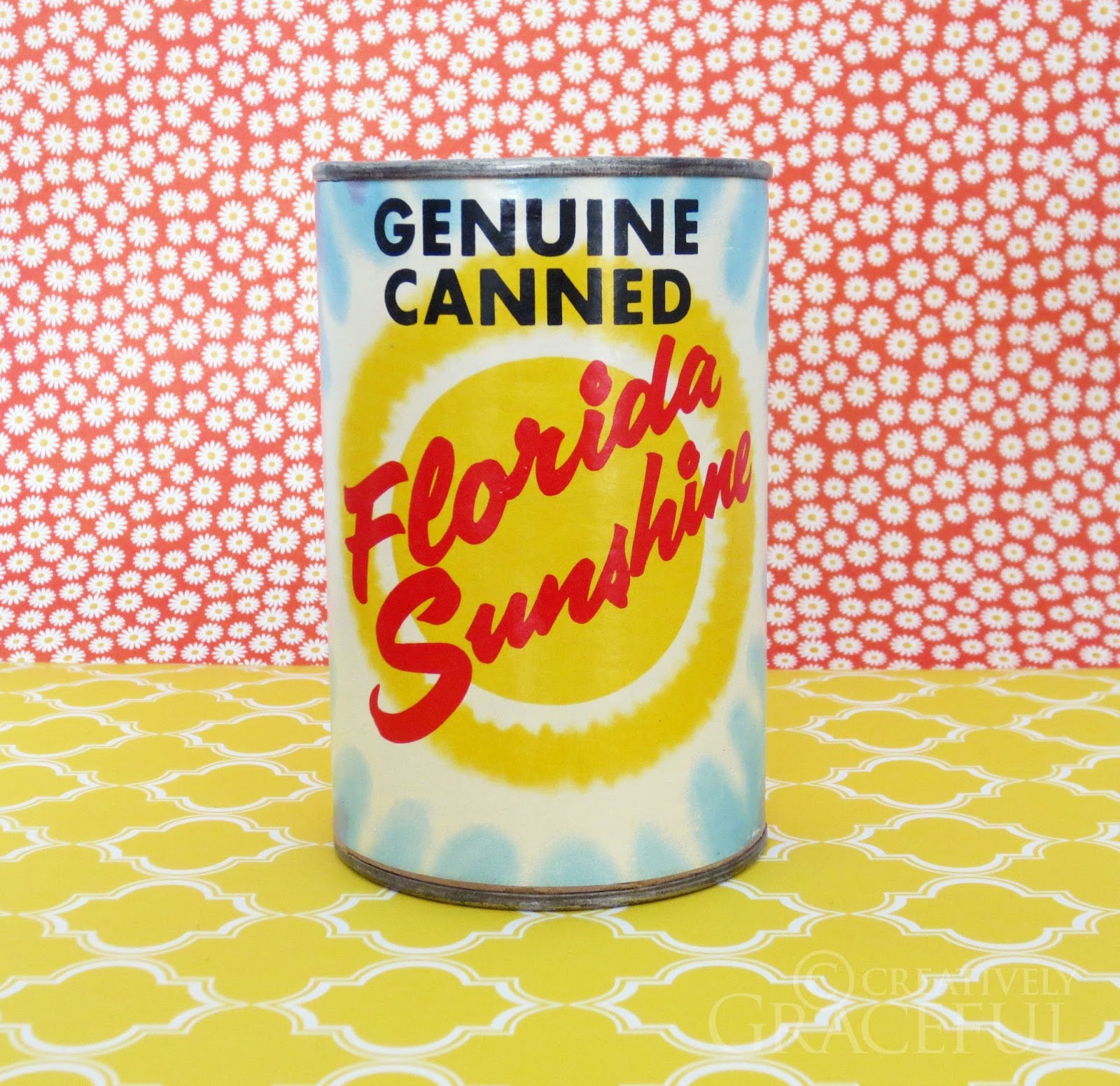 Creatively Graceful: Florida Sunshine