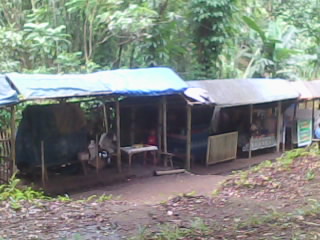 Pemandian Sumber Ringin | TOURISM in MALANG