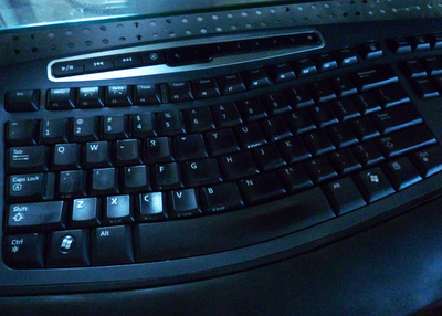 Don't pet me, I'm writing: The curious case of the rubbed off keys