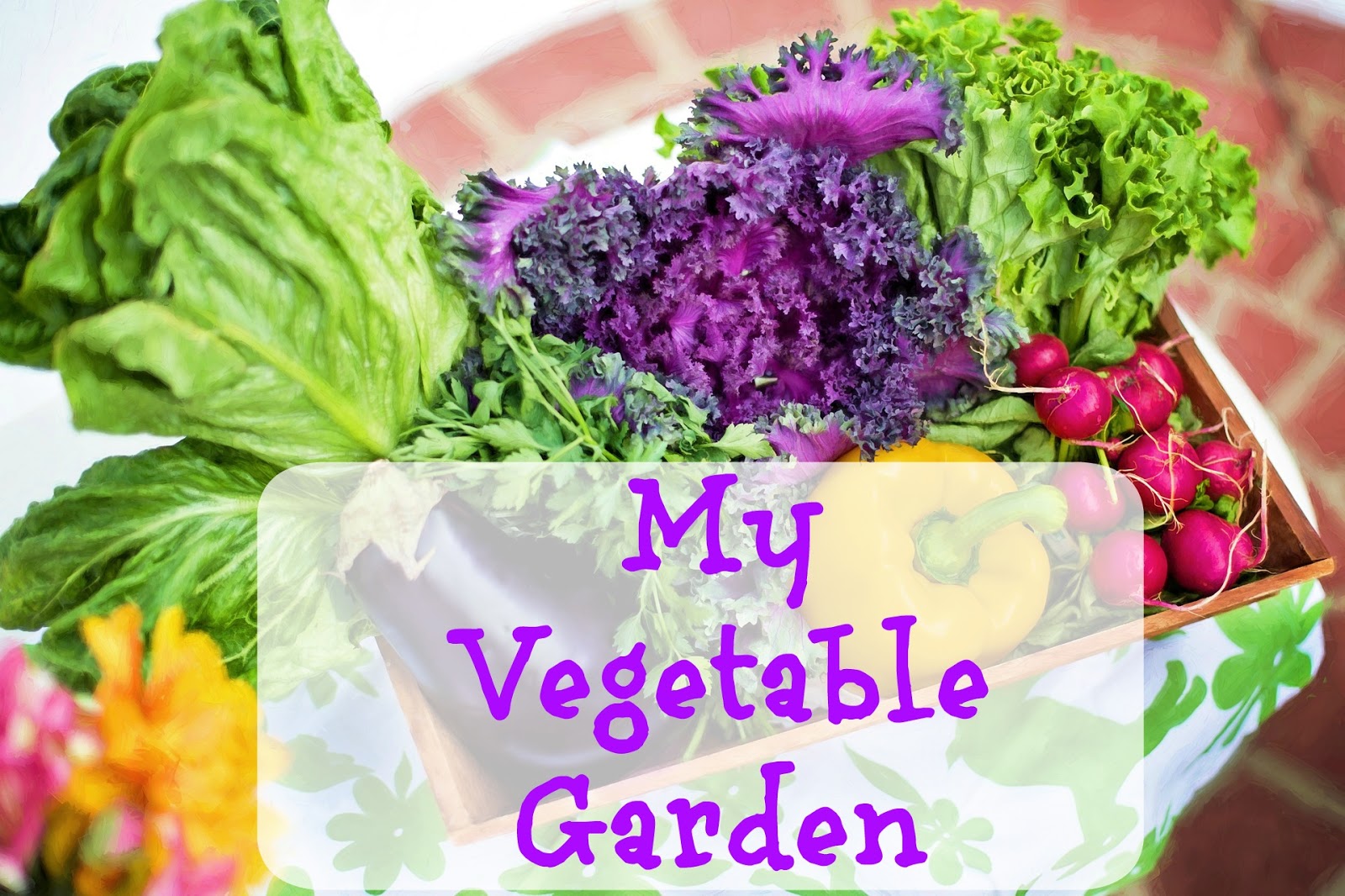 My Veggie Garden - My Glittery Heart