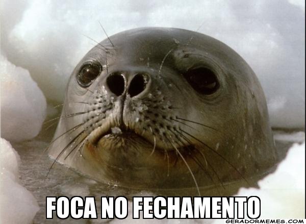 FOCA NA DICA