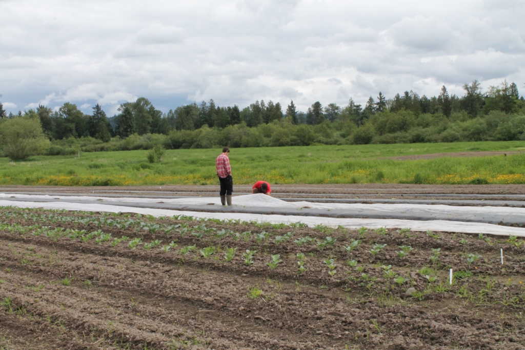 Caruso Farm: Diversified Farming