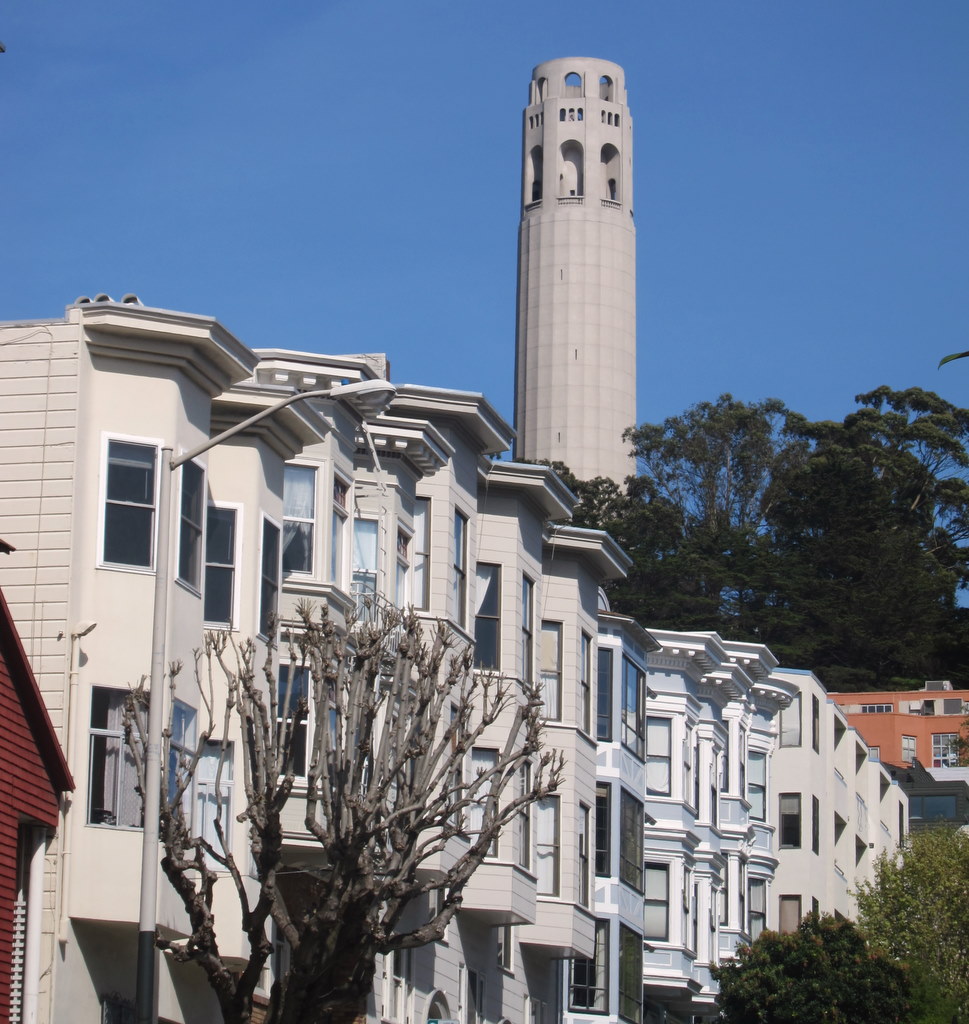 Jane Says: Walking to Coit Tower and the Parrots of Telegraph Hill