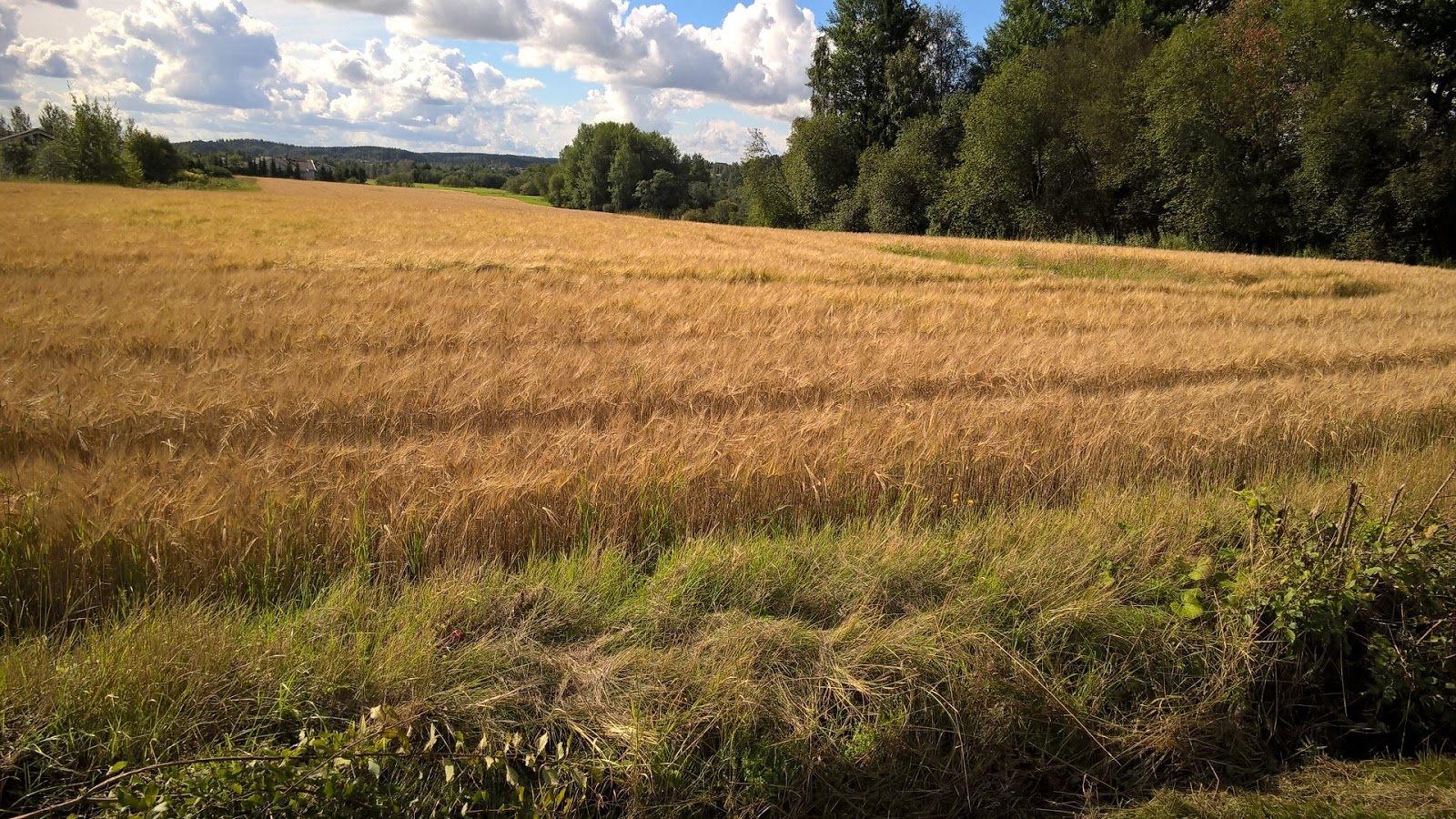 Keidashetki: Jumalan pelto