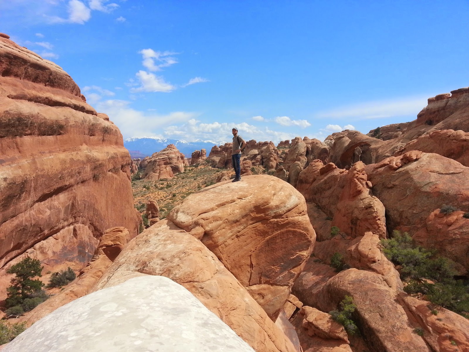 Diario de un forastero