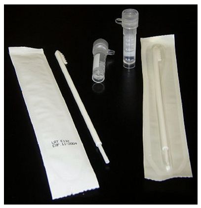 UpFront with NGS: DNA Testing for Genealogy 101 - What Can It Do For ...