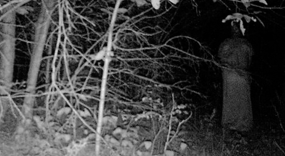 The Book Shelf: A Canadian Ghost Story by Rev. Herbert H Gowe 1893