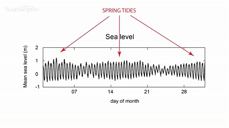 Protejamos las Maravillas del Mar: Mareas: El mar que va y viene