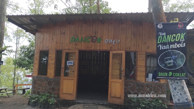 Dancok Cafe Malang, Cafe Hitz Bernuansa Alam Hutan Pinus | Aura Biru