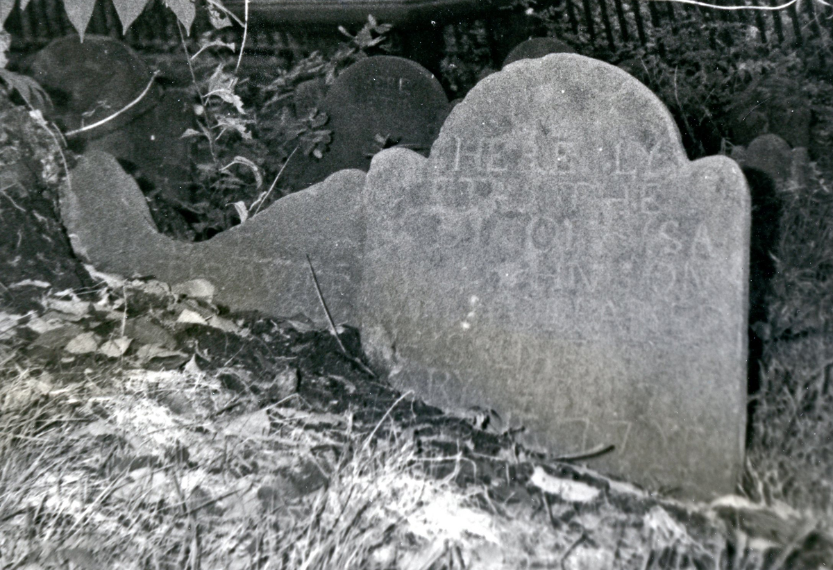 Baker Family Tree: Chapter 50 - Our Johnson Ancestors