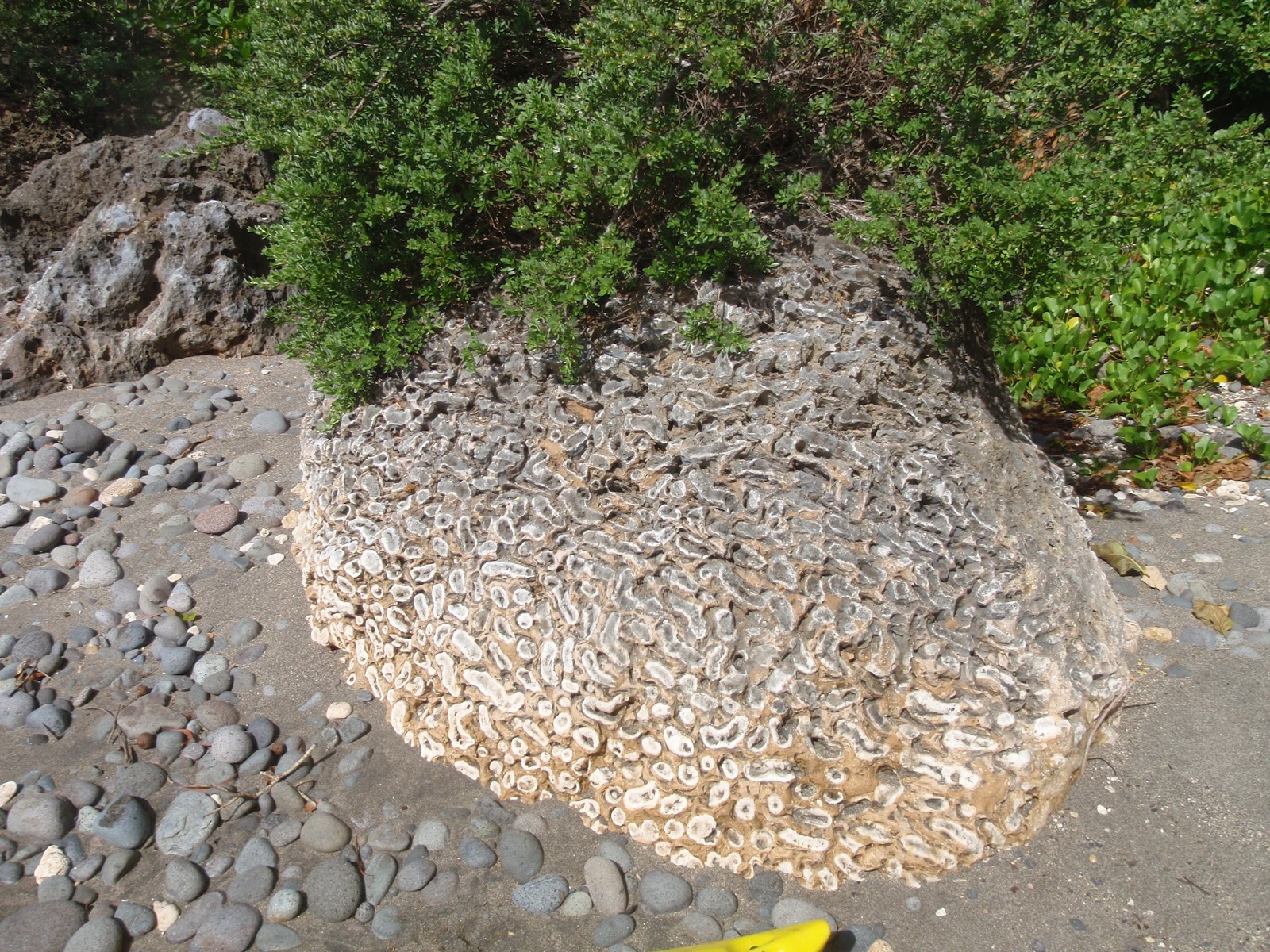 SOUTHERN CROSS SOJOURN: Erromango, Vanuatu