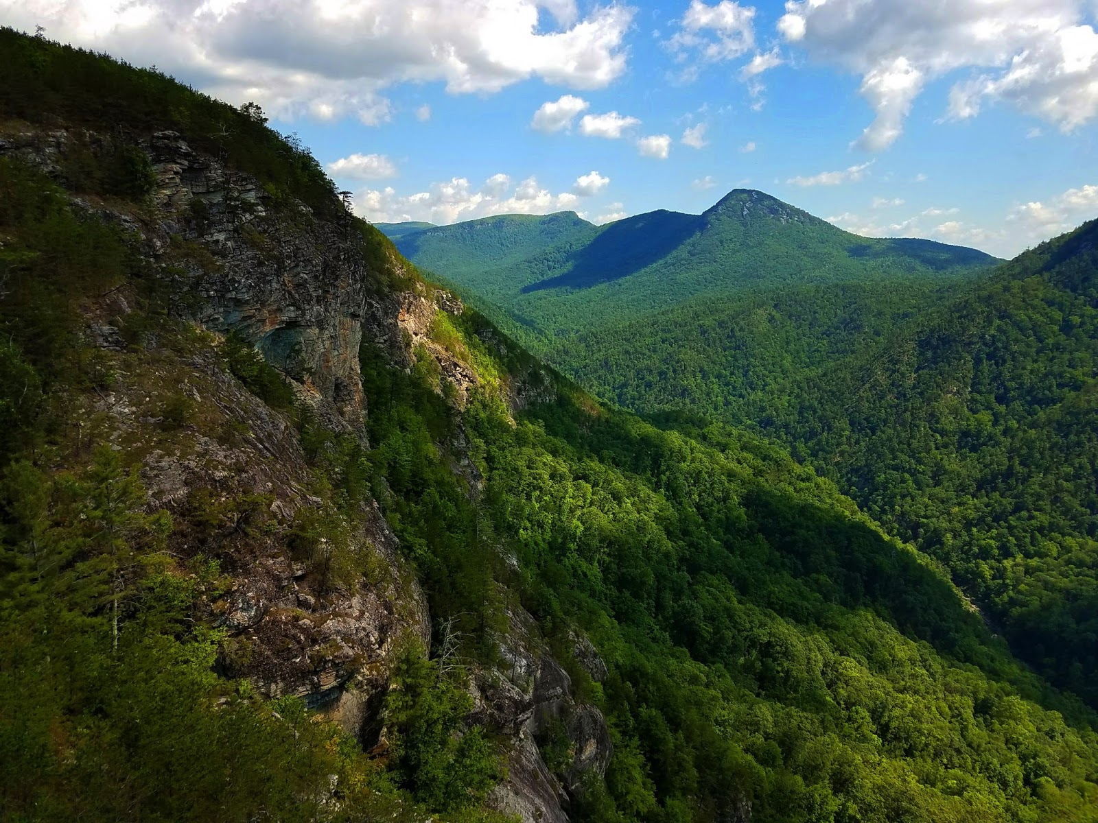 Smoky Scout's Hiking Adventures: Linville Gorge Loop