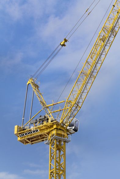 United Training Center: Tower Crane Training In Mhlume