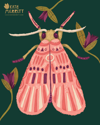 print & pattern: NEW WORK - kate merritt