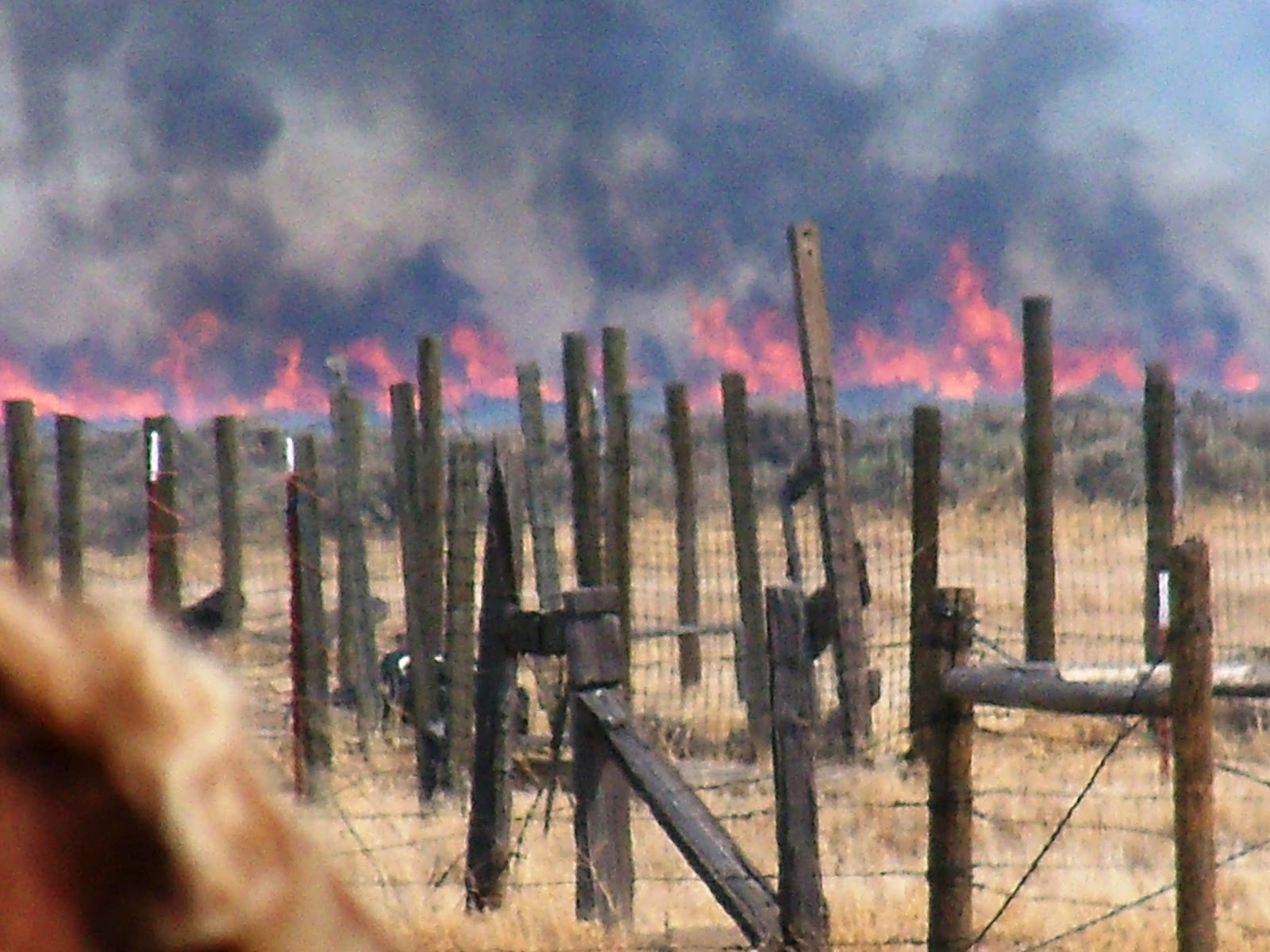 Sierra Sentinel News- Serving The Sierra Nevada Communities: Rush Fire ...