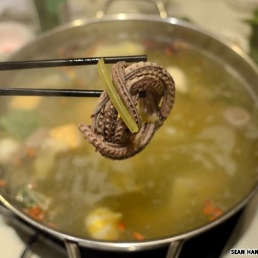 Snake dishes at Restaurant Jin Long She | MY WAY