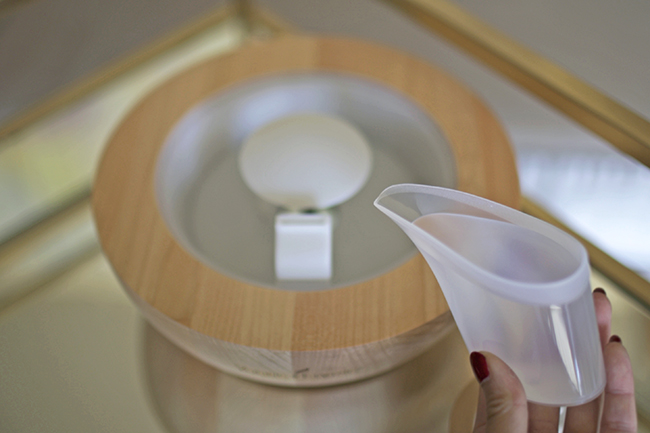 the raeviewer - a premier blog for skin care and cosmetics from an ...