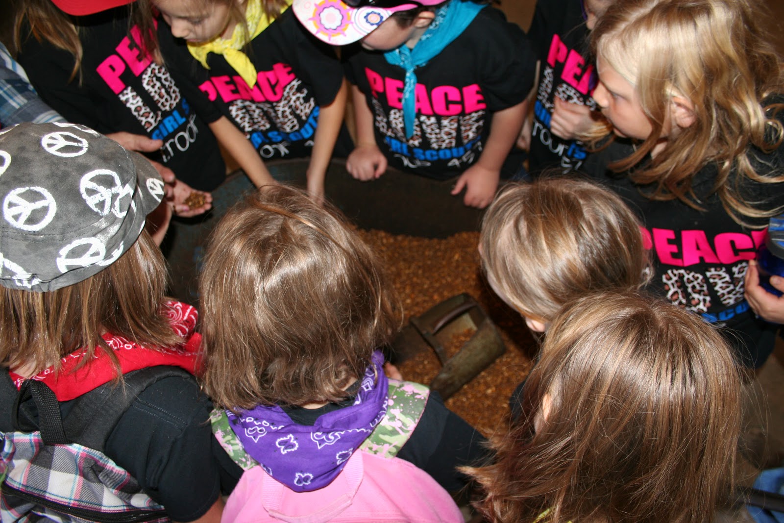 Girl Scouts: Camp Bette Perot 2012