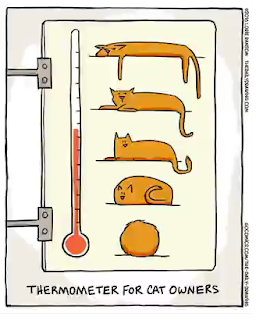 Mystery Fanfare: Cartoon of the Day: Thermometer for Cat Owners