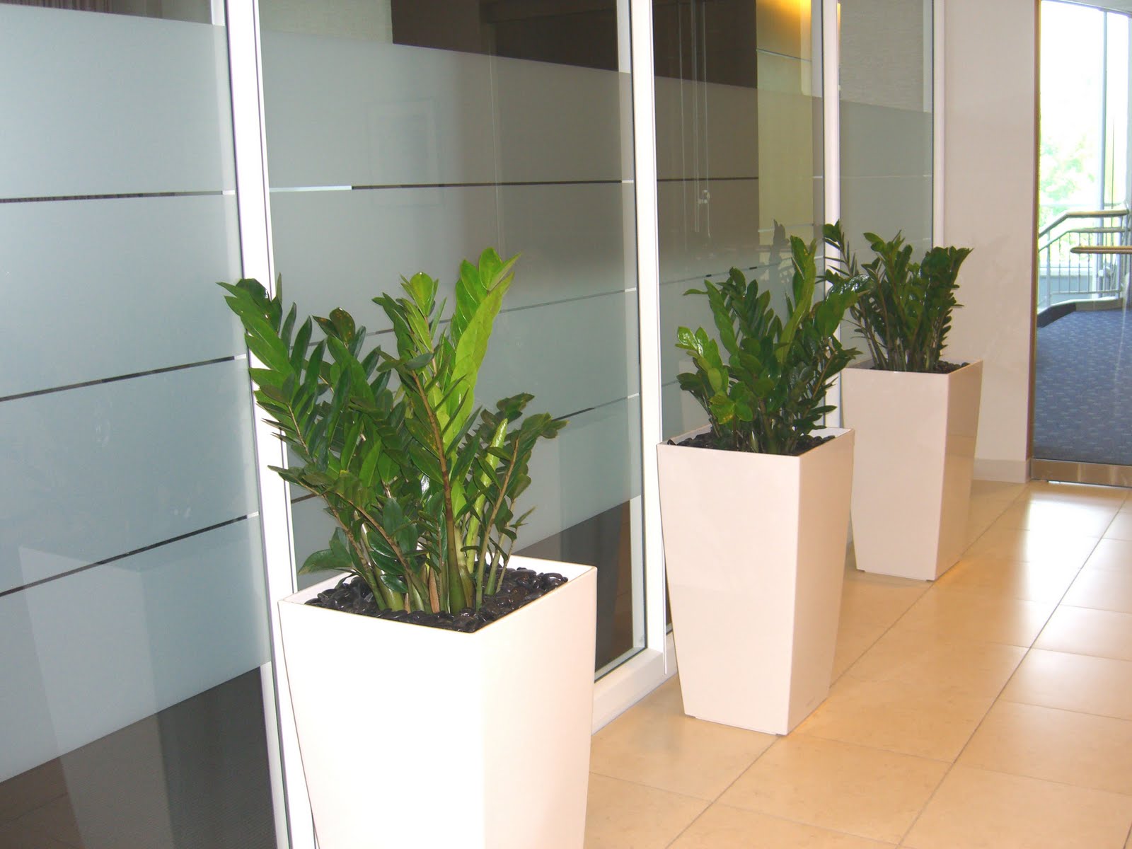 creative juice: "What Were They Thinking Thursday!!??" - Office Plants