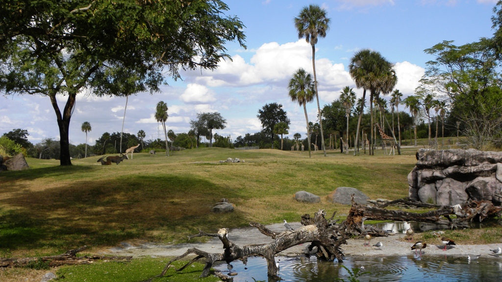 Travels - Ballroom Dancing - Amusement Parks: Bush Gardens Zoo and ...