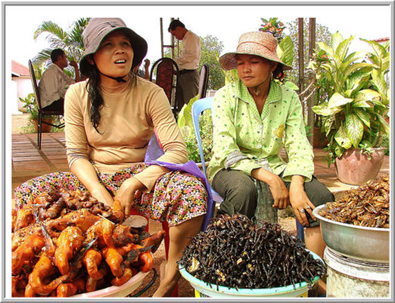 S T R A V A G A N Z A: CULTURAL FOOD HABITS