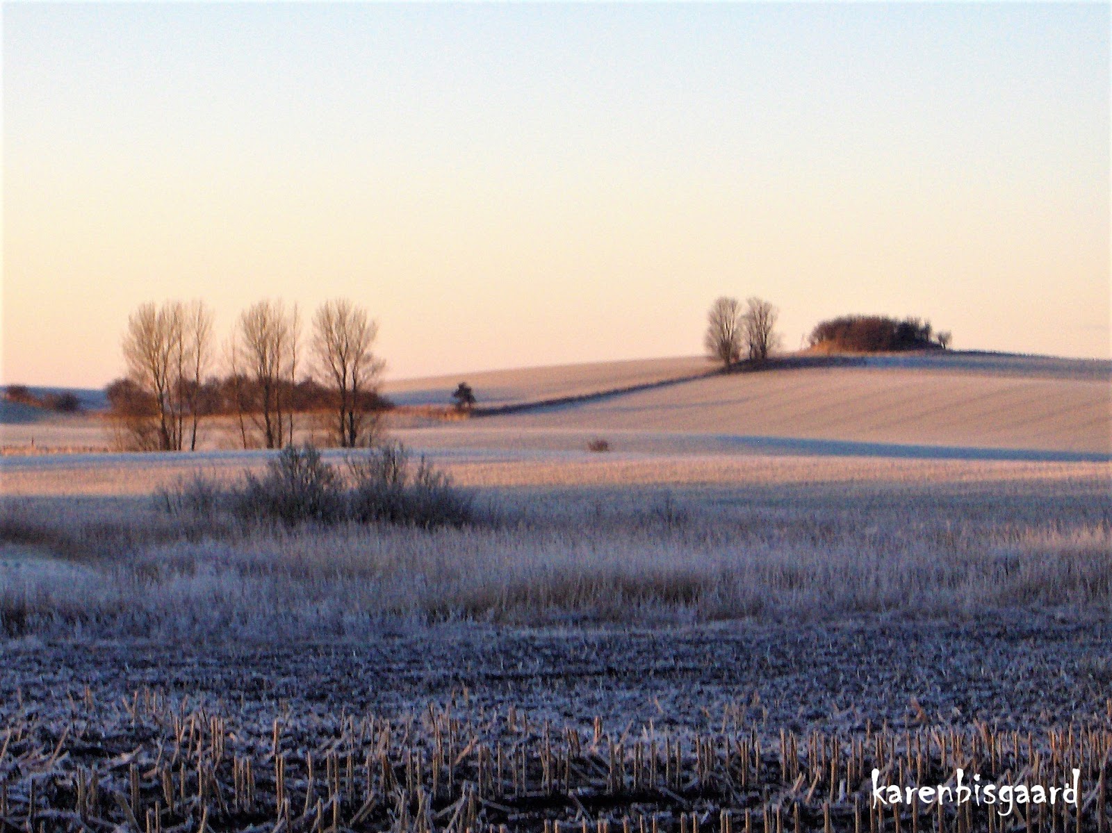 Karen`s Nature Photography: Snowscape.