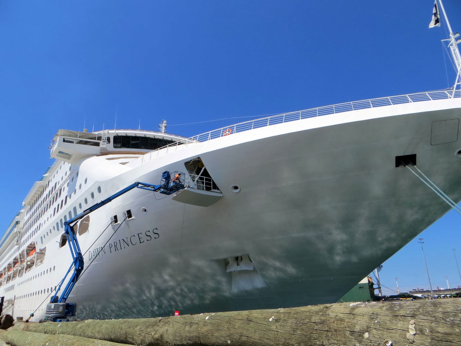 sconzani: Cruising into summer