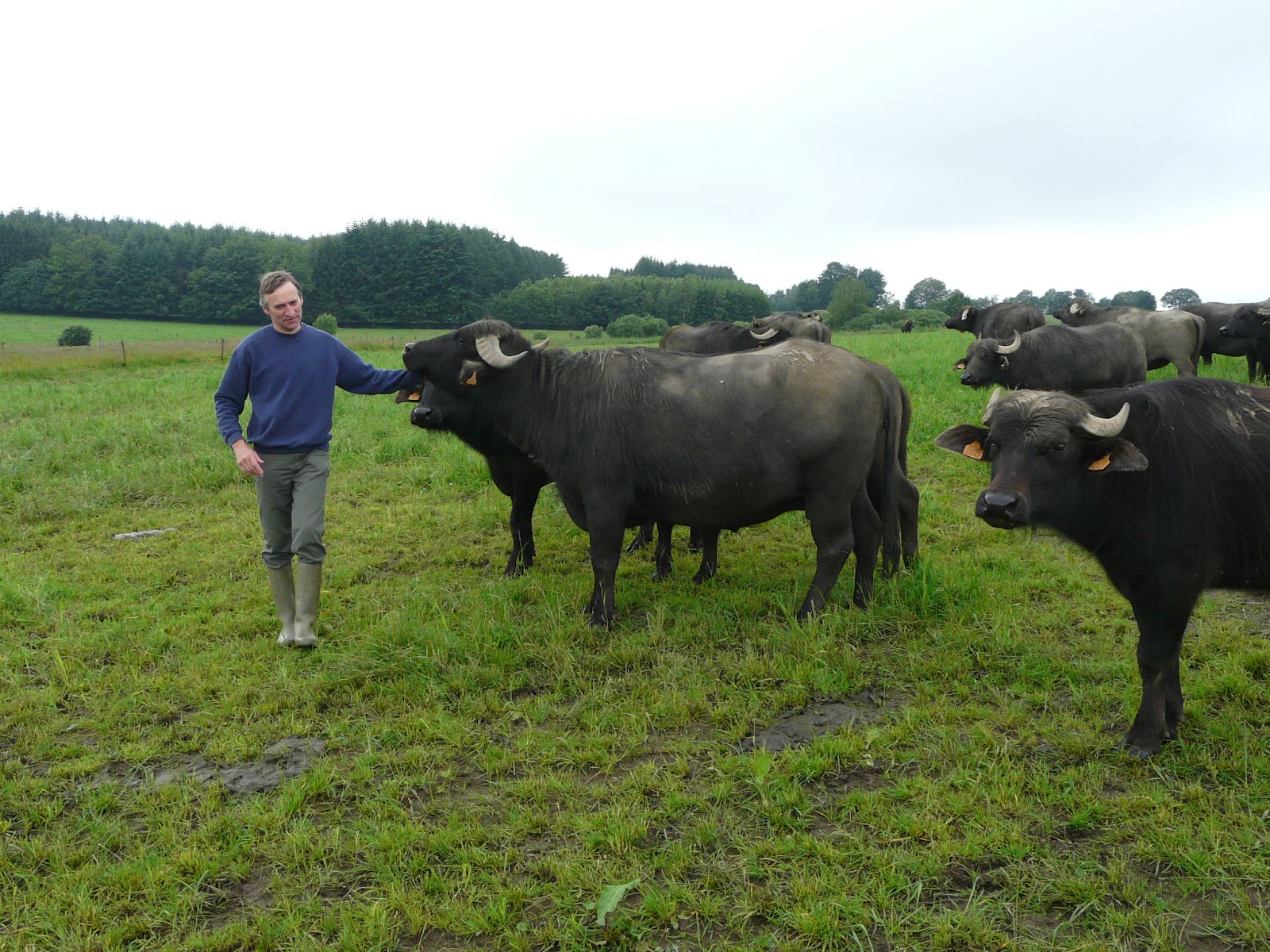 Blog de la 5e A de l'Institut Saint-Joseph de Neufchâteau: Visite de la ...