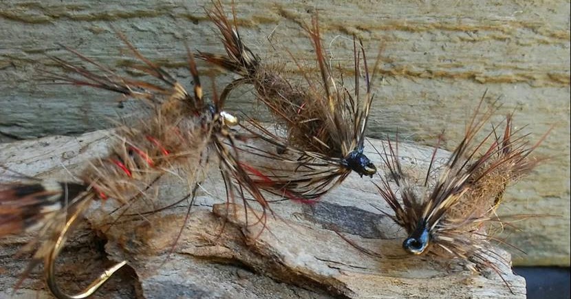 Palmetto Fly N' Fish: The Grey Nymph