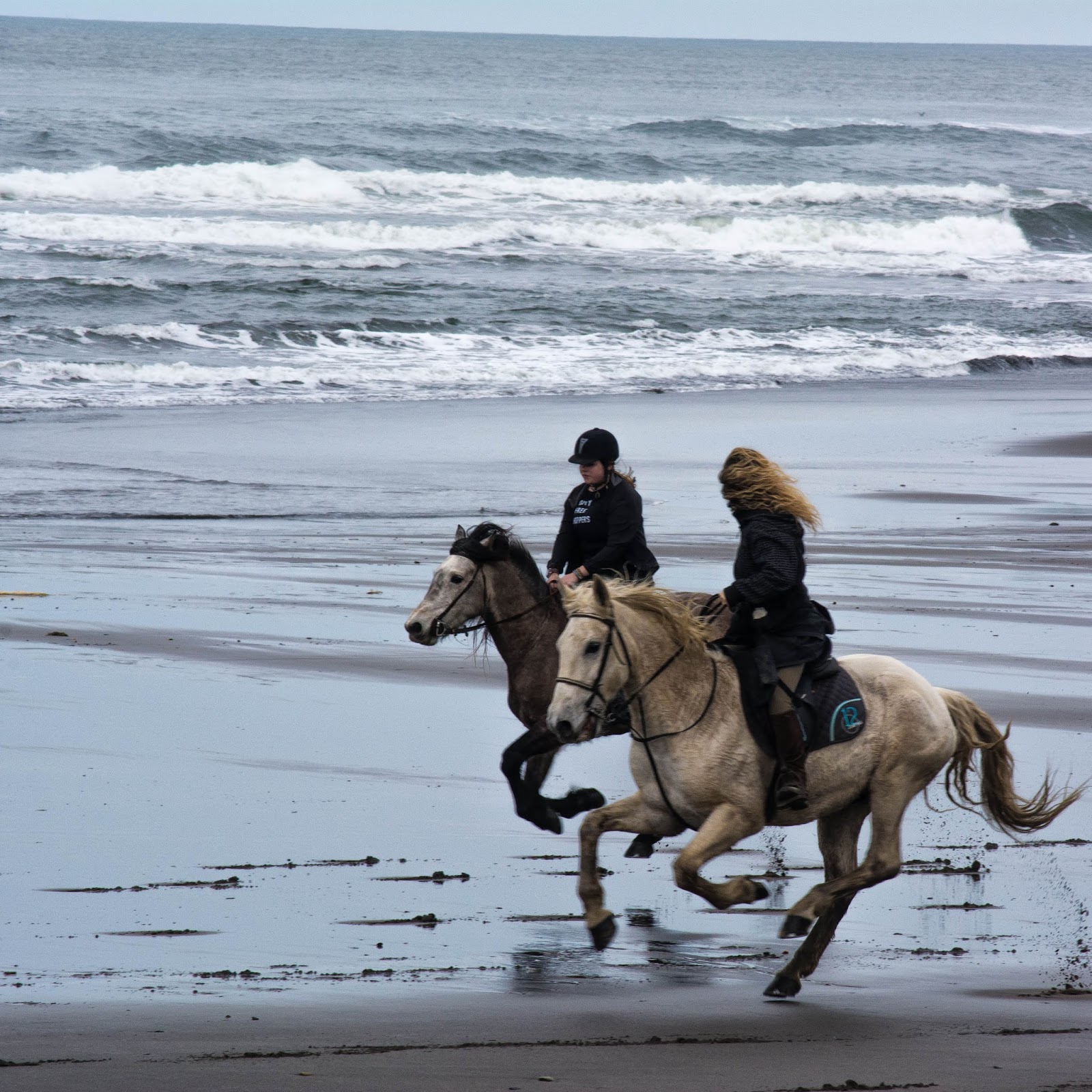 FOTOGRAFIA Y FILATELIA II: CABALLOS EN LA PLAYA