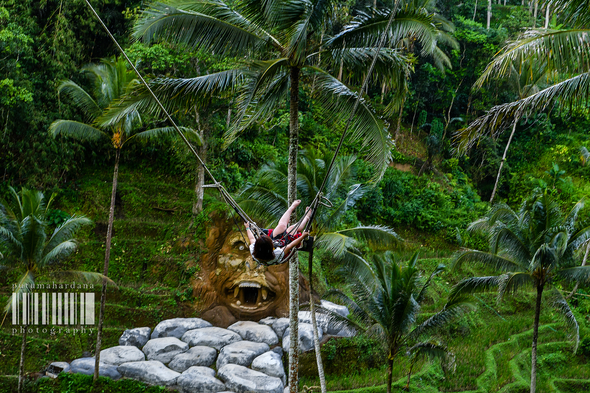 Swing di Alas Harum Ubud
